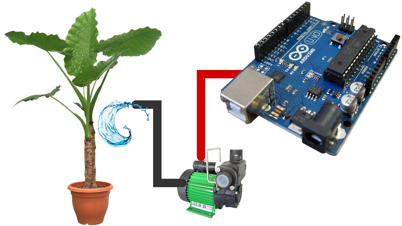 Arduino Plant Sensor Smart Plant Watering System With Water Level