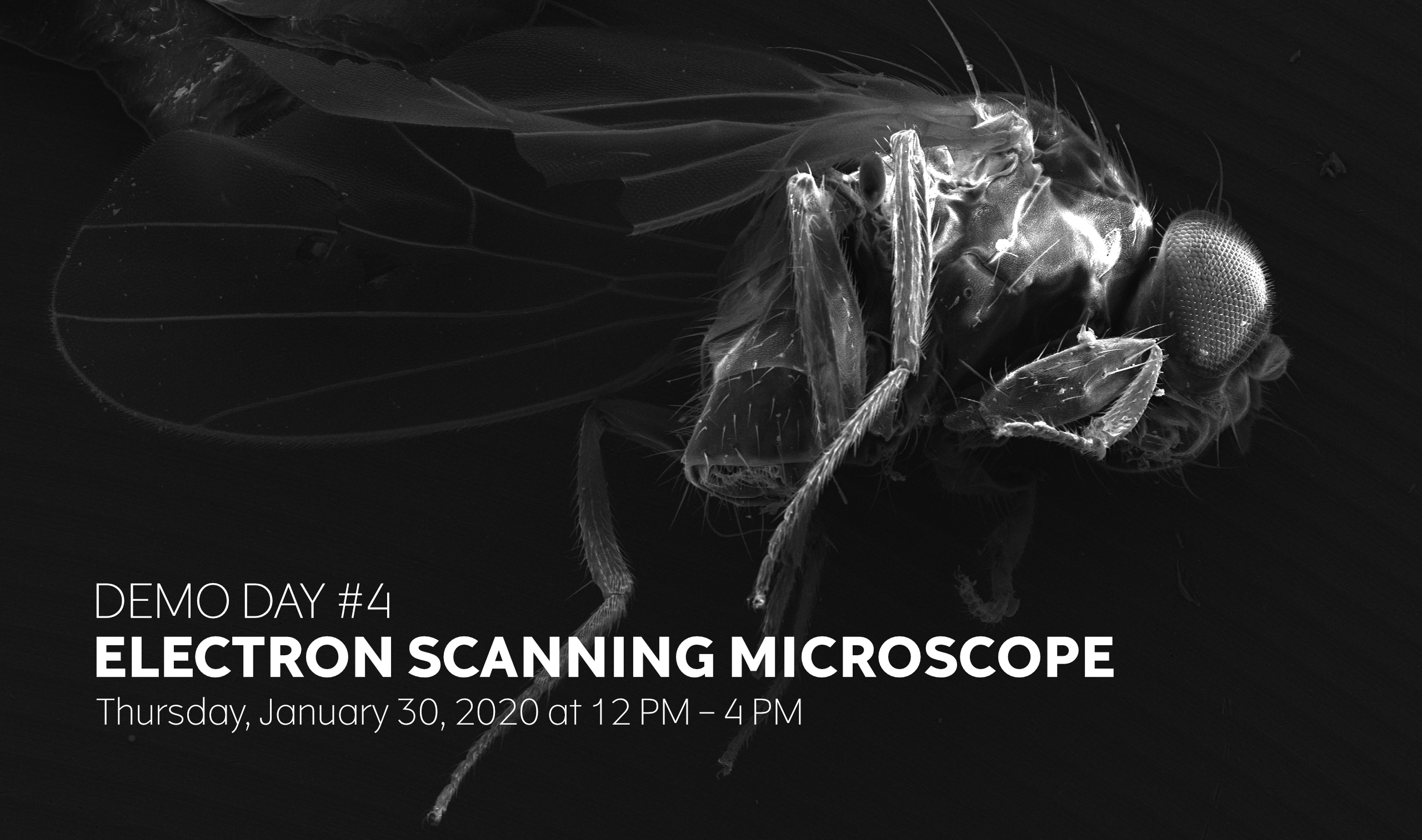 Demo Day #4 - Scanning Electron Microscope (SEM)