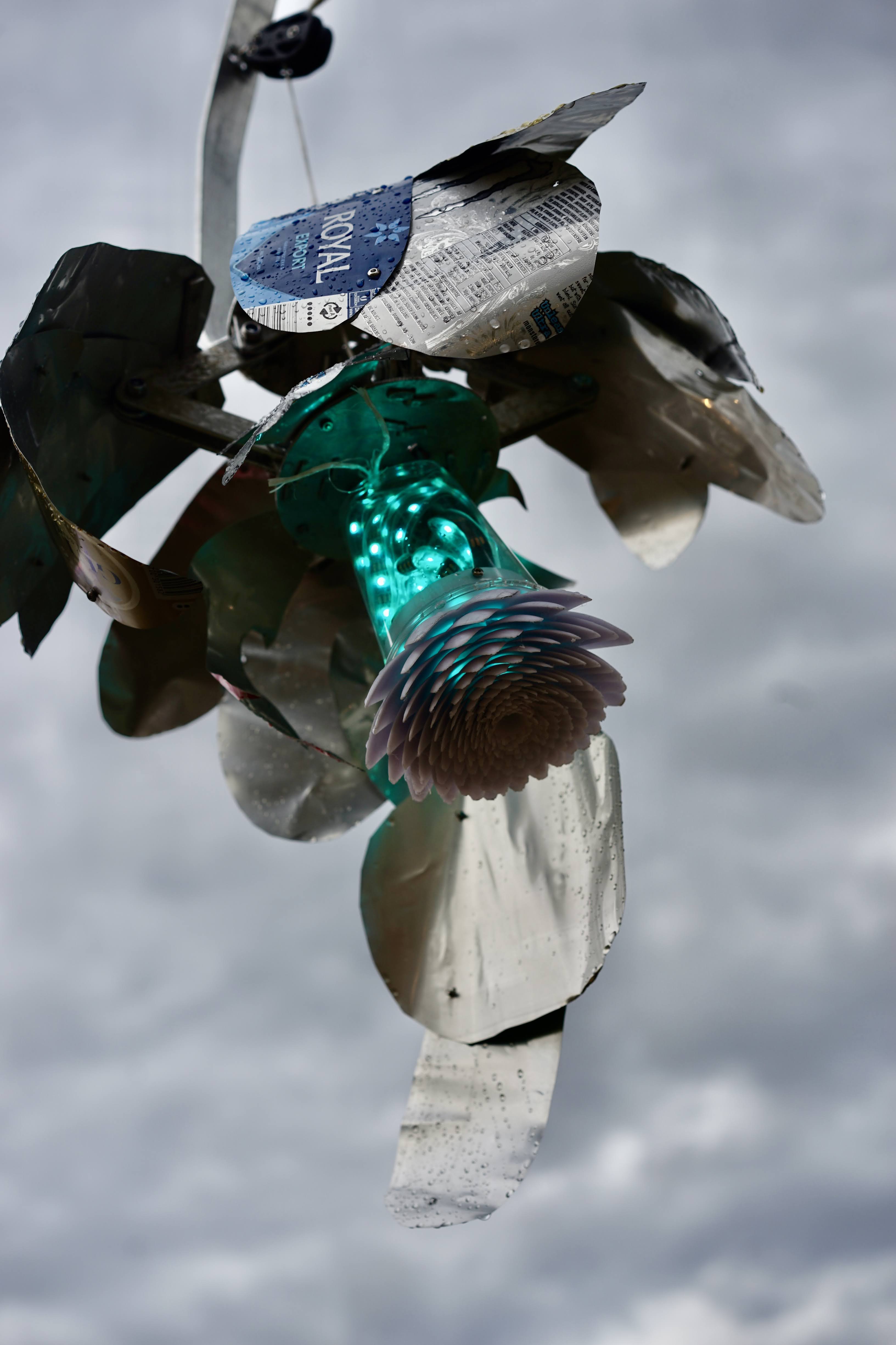 RF2024: ORGANIC MOVEMENT